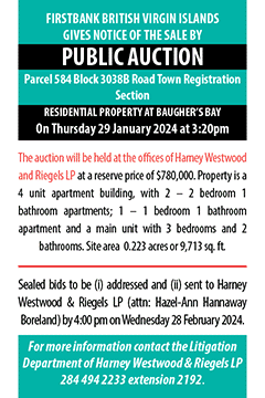 Airport expansion: ‘Start with lil bit’- Mark H. Vanterpool | Virgin ...